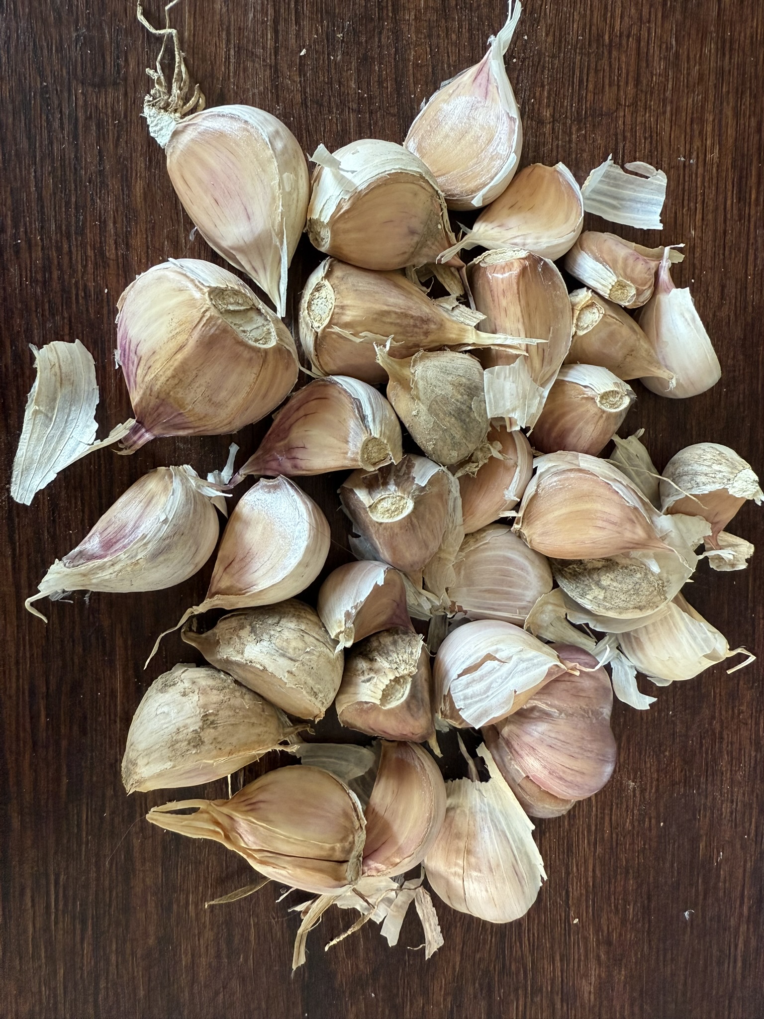Deutscher Knoblauch Zum Stecken Kaufen