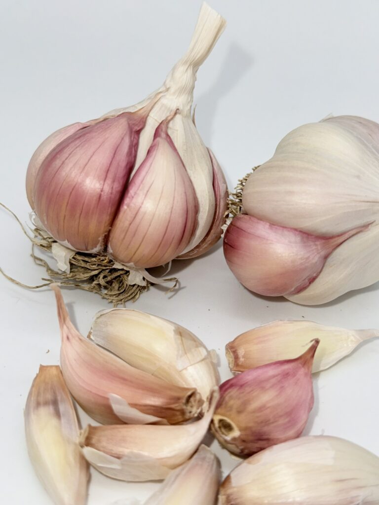 Wunderschone Deutscher Knoblauch Zum Stecken Kaufen Bilder